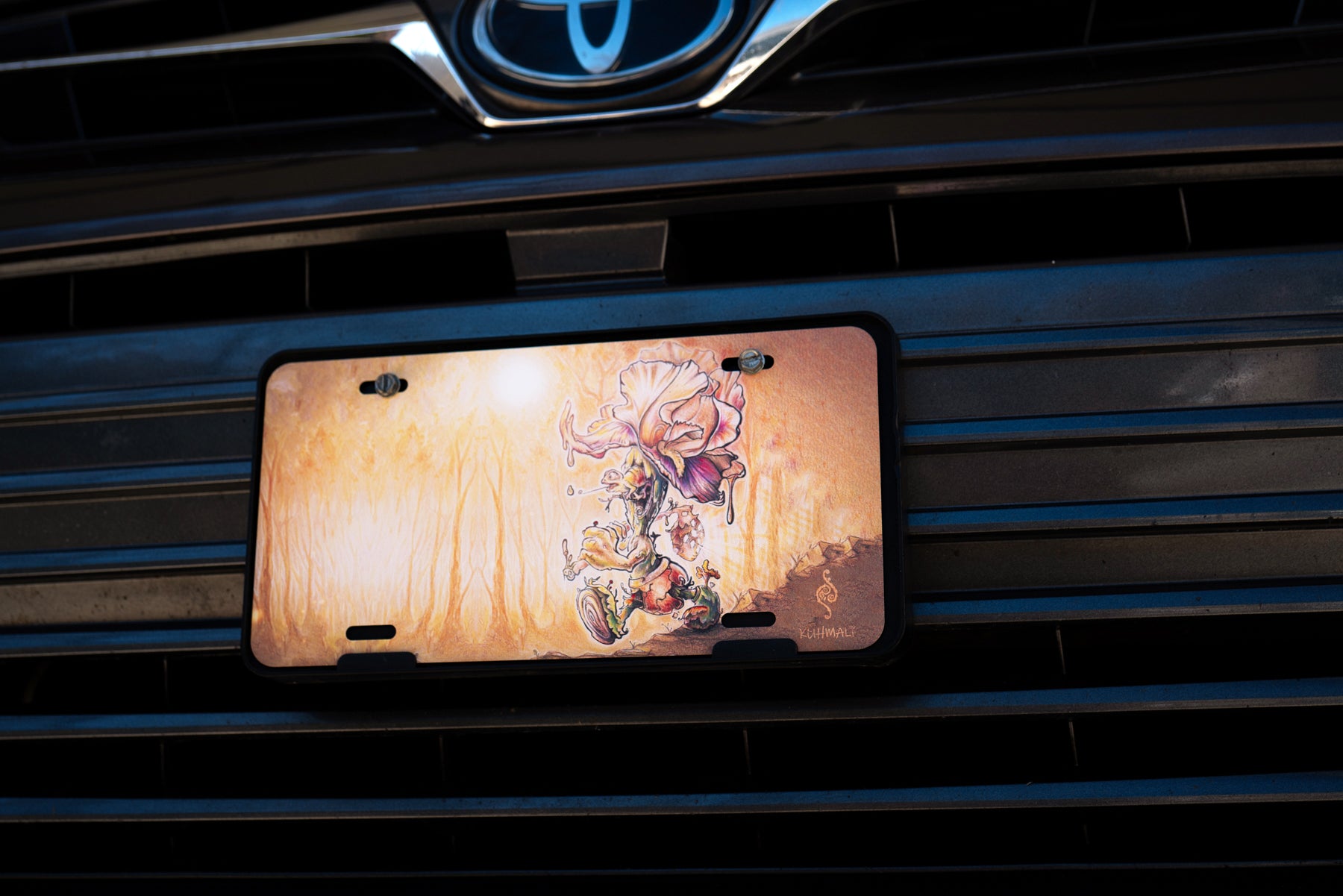 License Plates – Art of KUHMALi